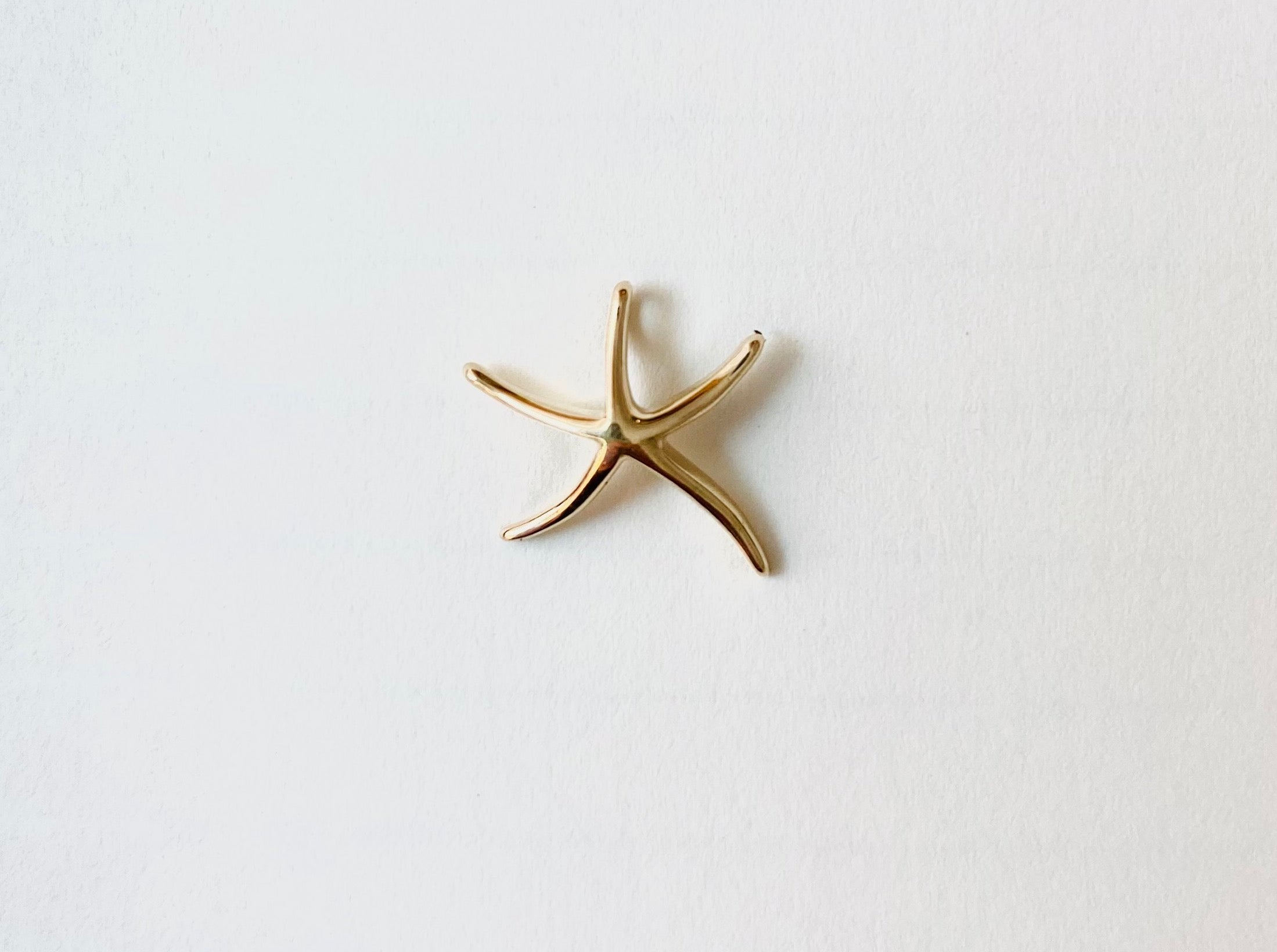 Mini Sea Star (Brass) – Spirit Animals